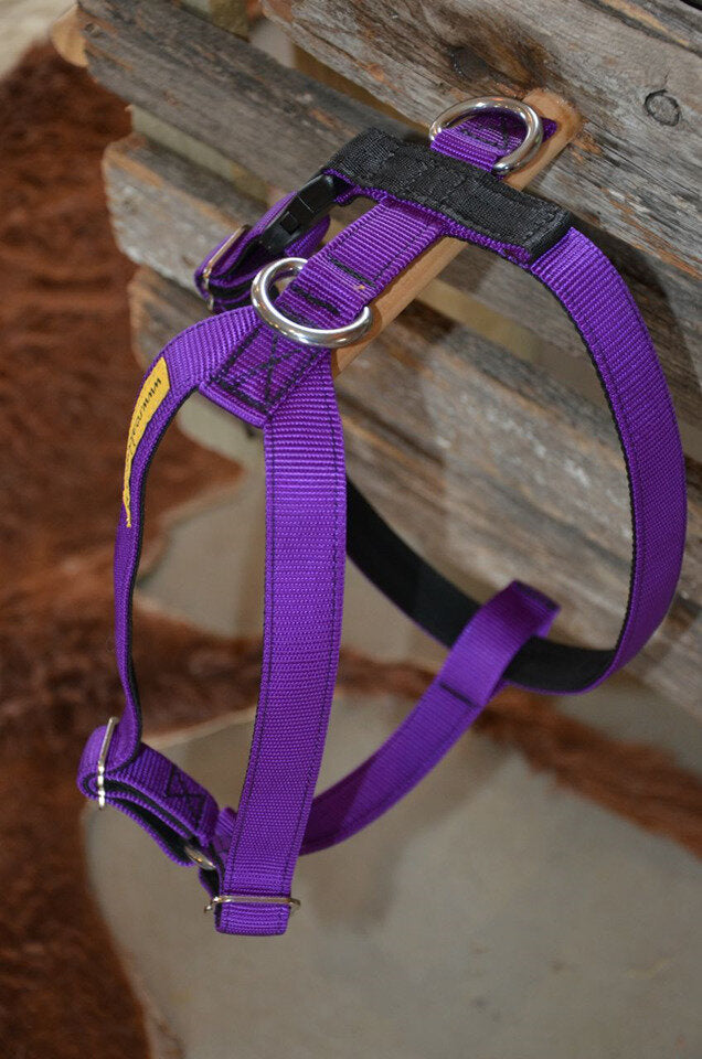 Tracking Harness – Real Dog Shop